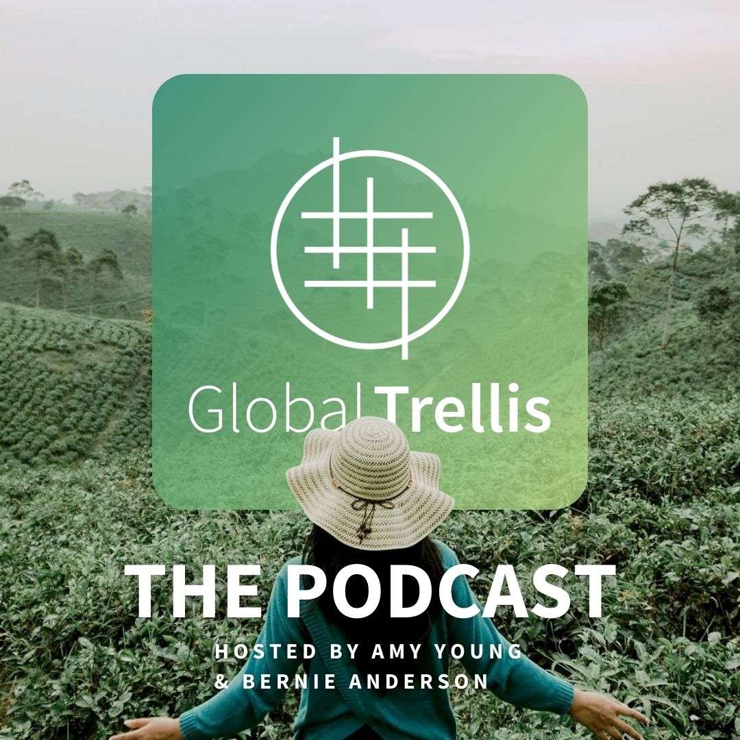 Global Trellis
